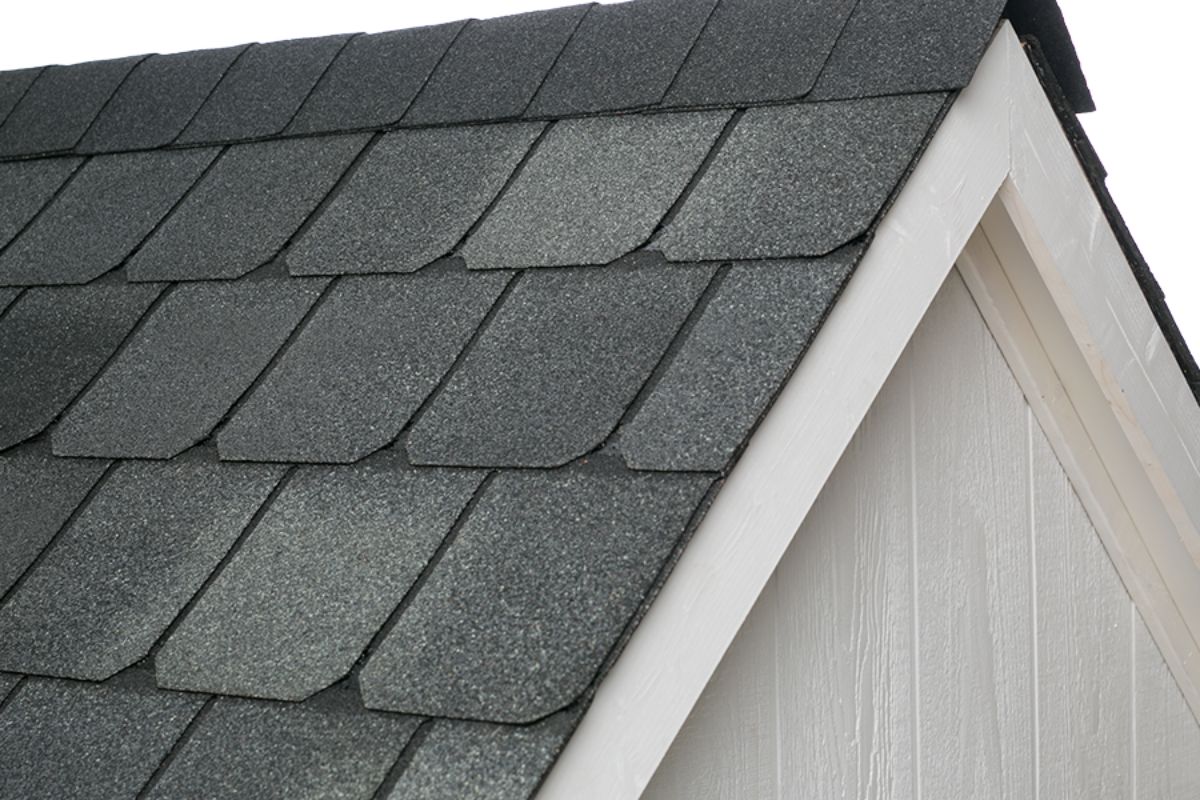Best Asphalt Shingles Of 2024 (A Buyer's Guide)